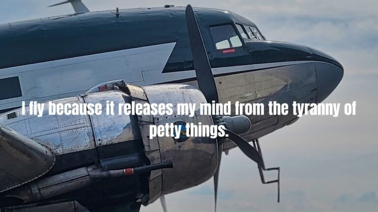35 Best Aviation Quotes of All Time: Inspirational, Funny, and Wise ...